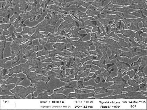 Medium Manganese Steels: Part One :: Total Materia Article